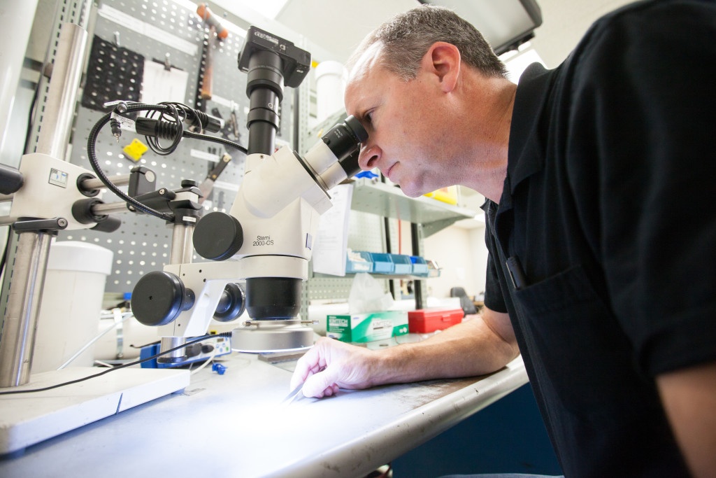 Engineering Support - Electron Energy Corporation